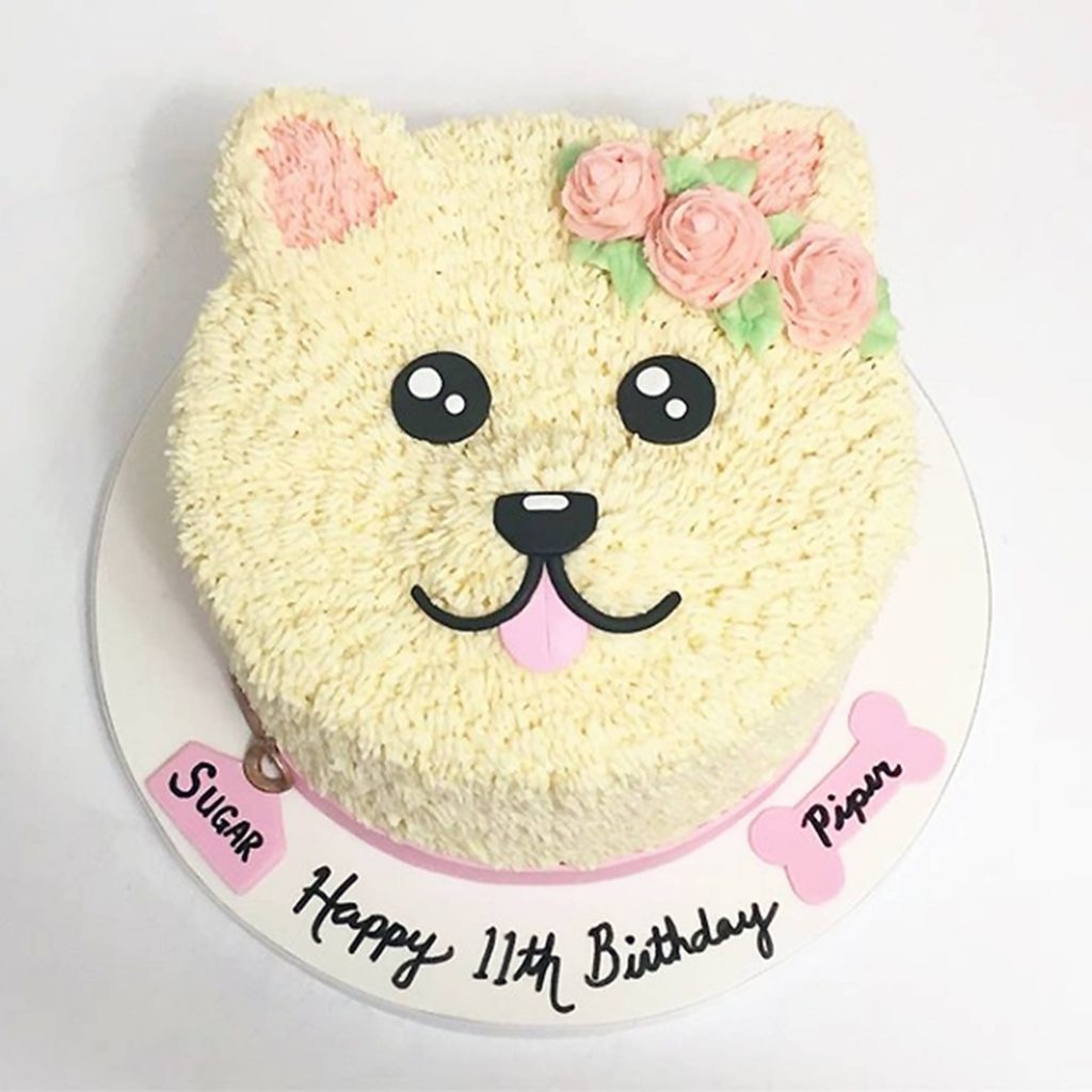 Triple Chocolate Cake - Sugar Suite